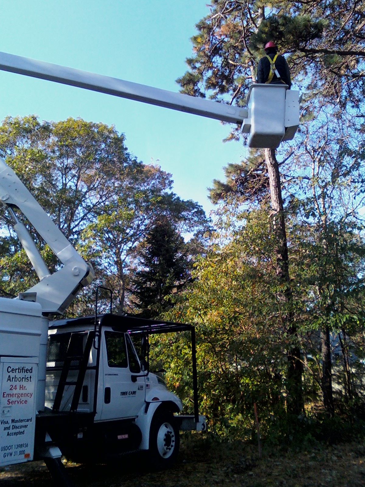 Bucket truck | Cape Cod Tree Service