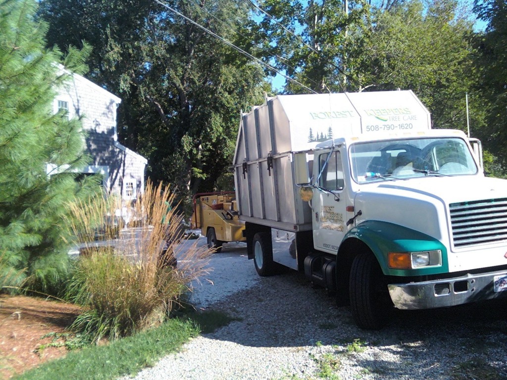 Chip truck (2) | Cape Cod Tree Service
